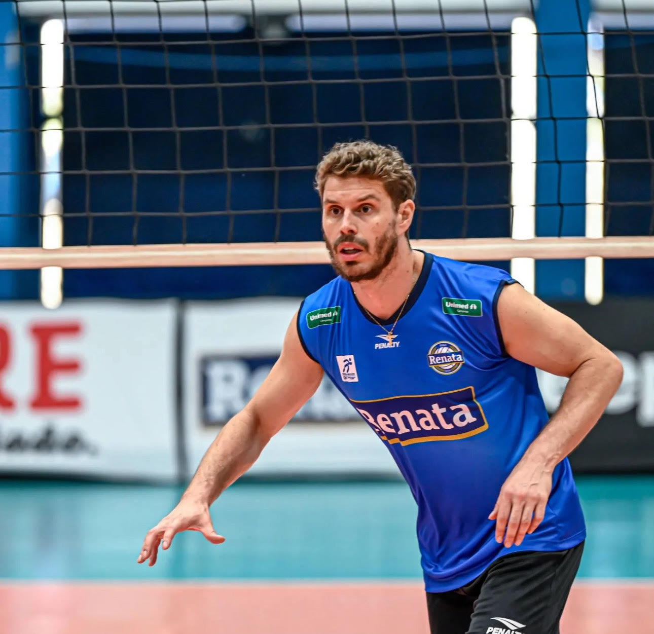 Seleção Brasileira de Vôlei: saiba quem são os atletas e como acompanhá ...