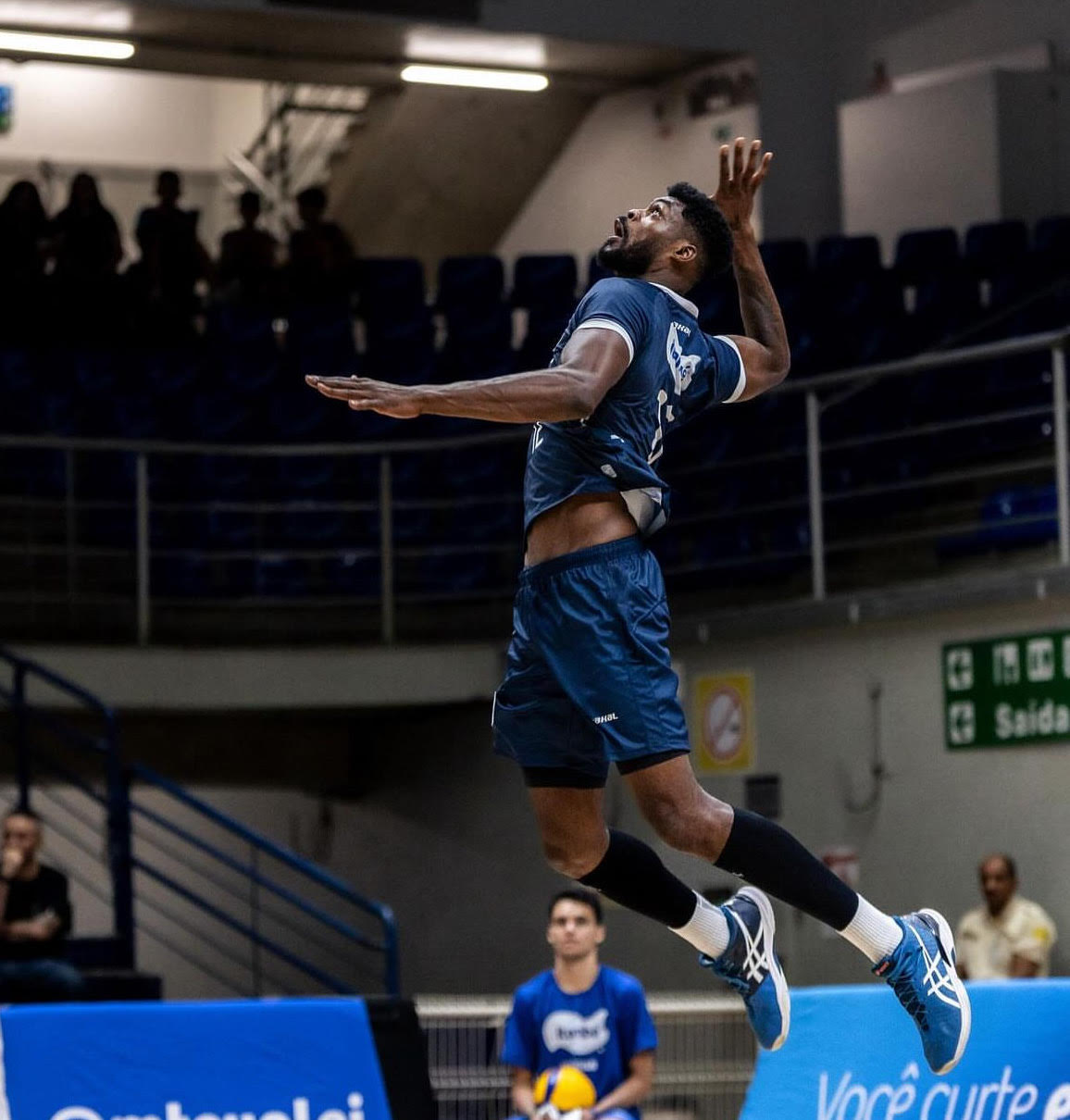 Seleção Brasileira de Vôlei: saiba quem são os atletas e como acompanhá ...